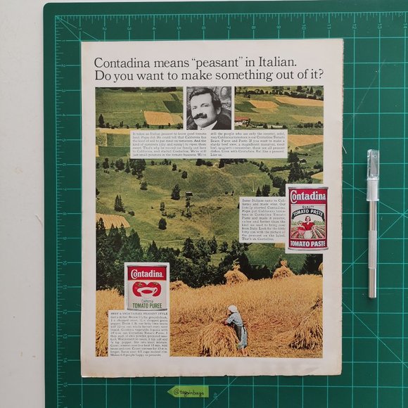 Vintage | Other | 6s Contadian California Tomato Puree Paste Vintage ...